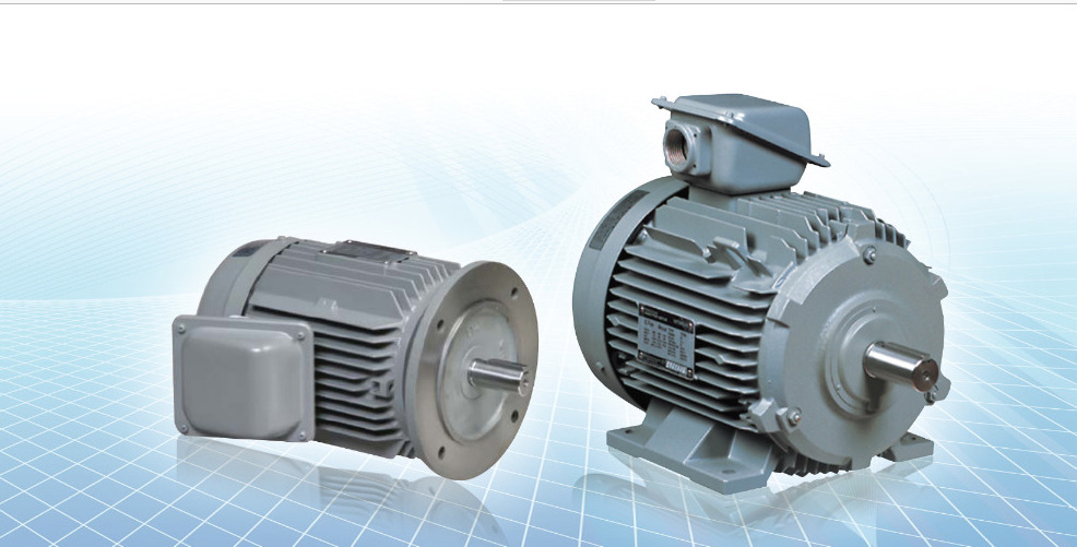 HITACHI ELECTRIC MOTORS - PT CAKRA ADJI GUNUNG